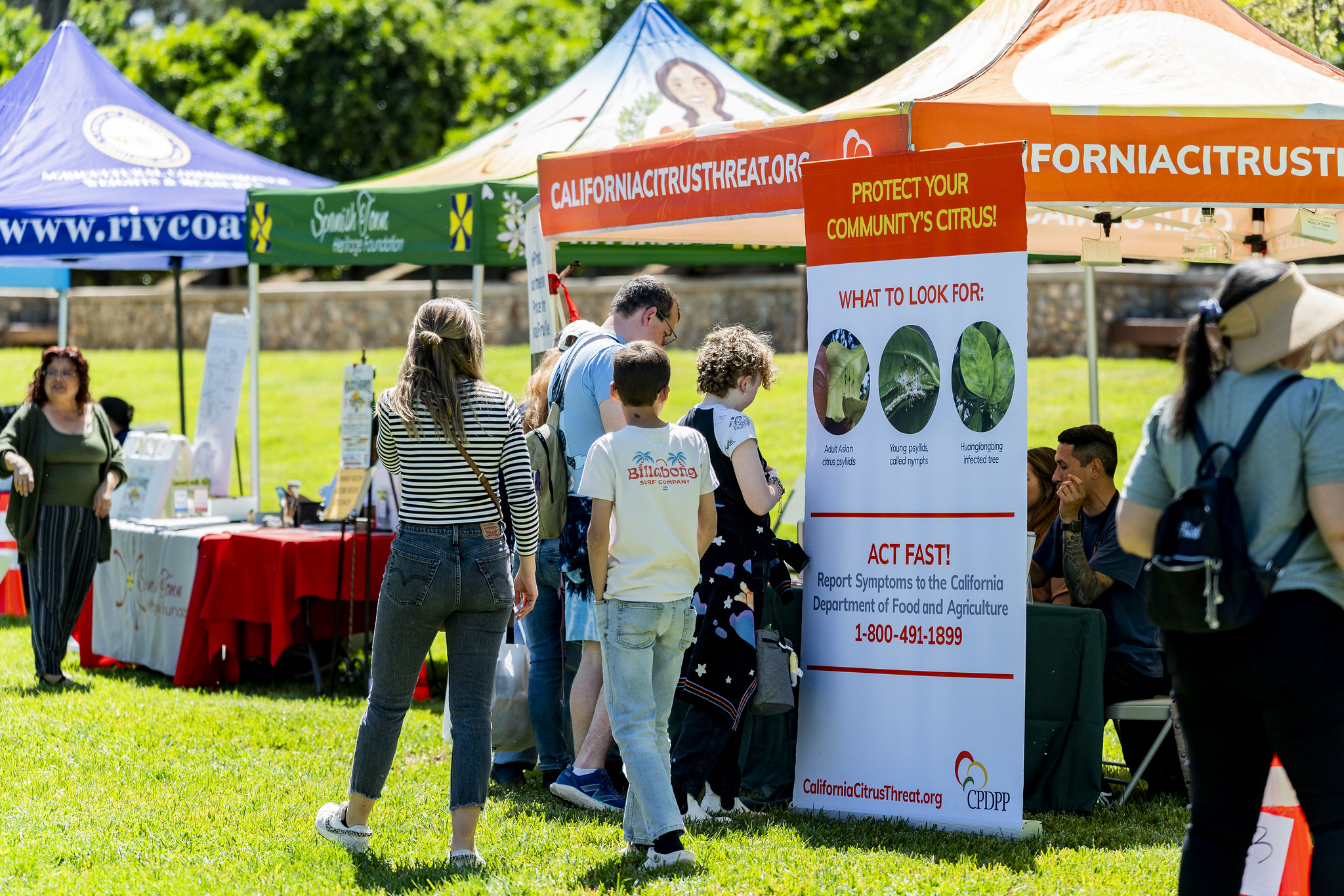 The Riverside Scene - Citrus Festival